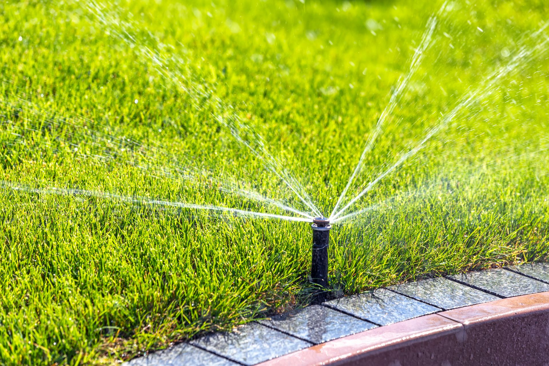 Sprinkler Installation | Sprinkler Plus - Custom Irrigation System Design